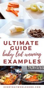 Baby Led Weaning First Foods & Recipes | BLW Examples – Everyday Wholesome