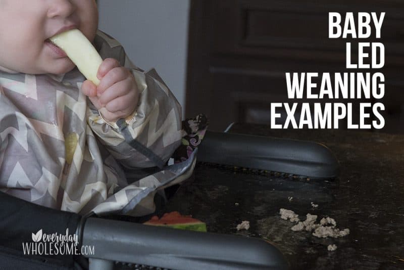 Baby Led Weaning First Foods & Recipes | BLW Examples – Everyday Wholesome