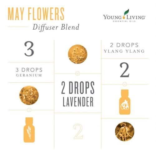 Everyday Wholesome | 50 Best Young Living Essential Oil Diffuser Recipes