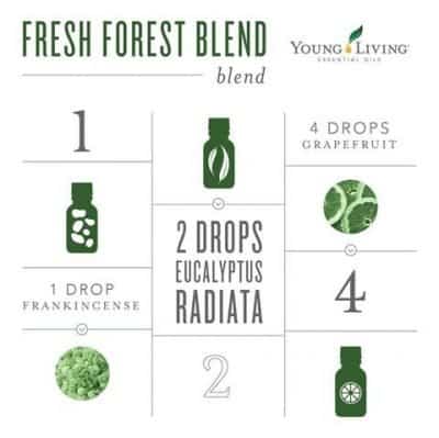 Everyday Wholesome | 50 Best Young Living Essential Oil Diffuser Recipes