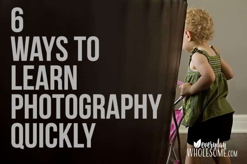 6 Tips to Learn Photography Quickly for Momtogs – Everyday Wholesome