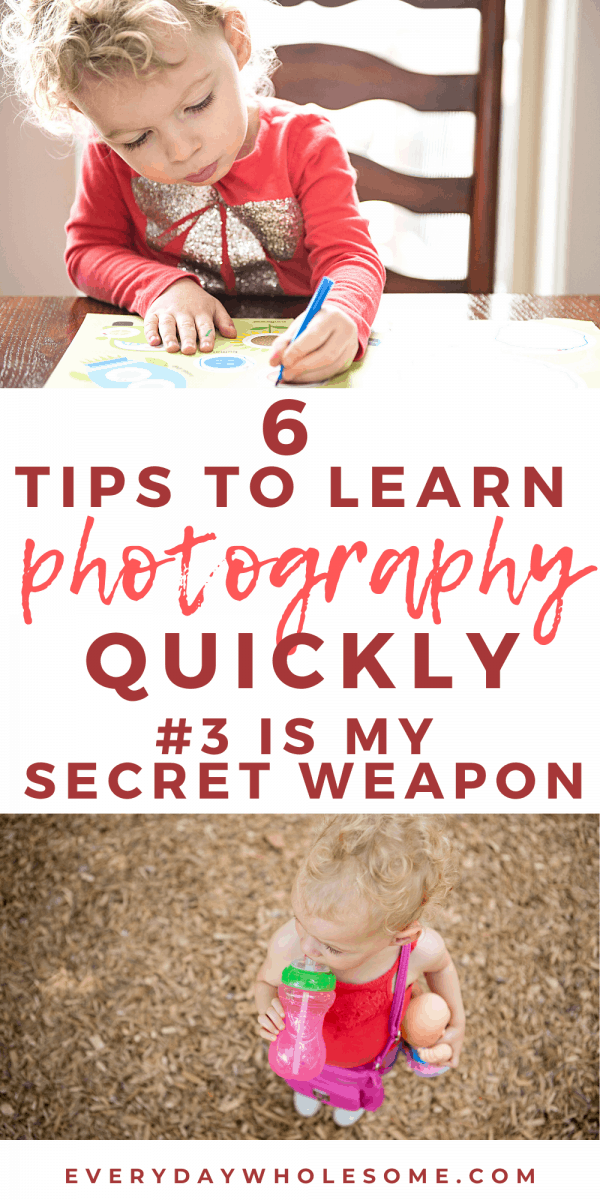 6 Tips to Learn Photography Quickly for Momtogs – Everyday Wholesome
