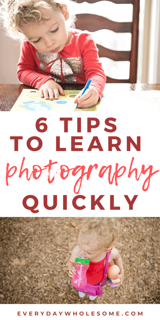 6 Tips to Learn Photography Quickly for Momtogs – Everyday Wholesome