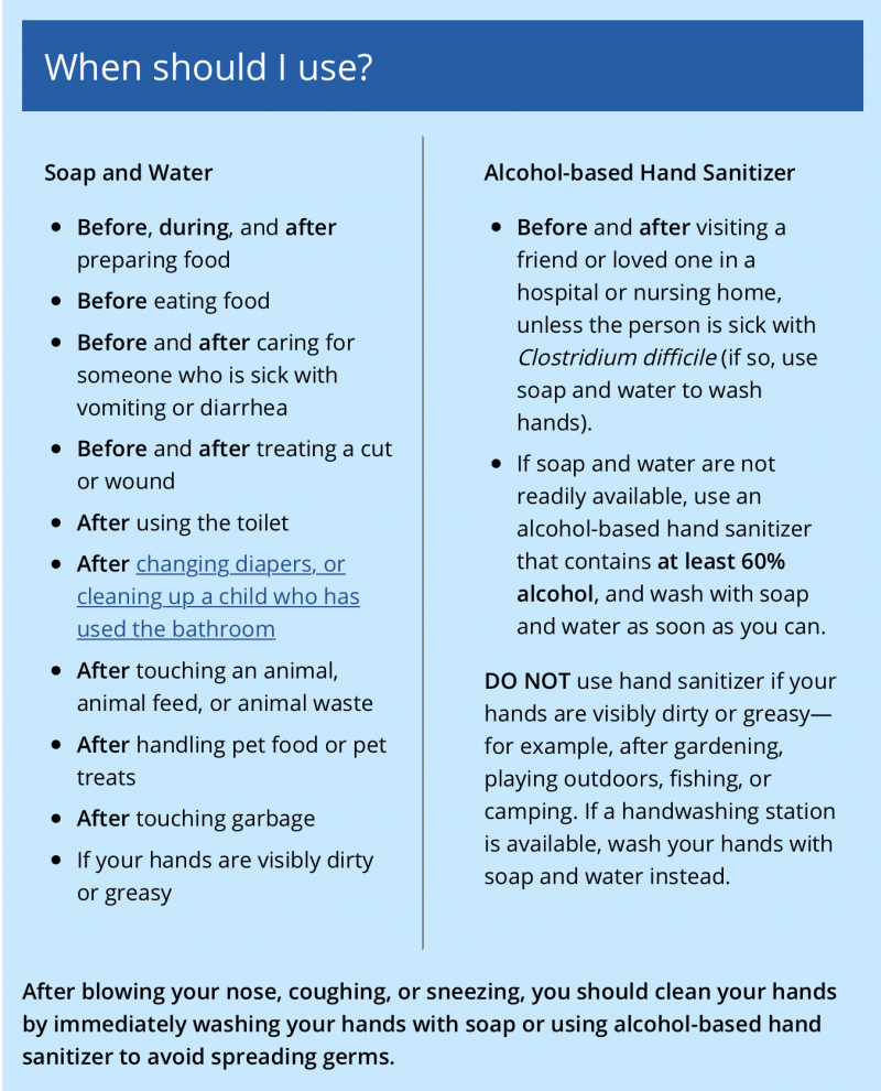Everyday Wholesome | DIY Hand Sanitizer Gel with Aloe Vera & Alcohol Everyday Wholesome | DIY Hand Sanitizer Gel with Aloe Vera & Alcohol