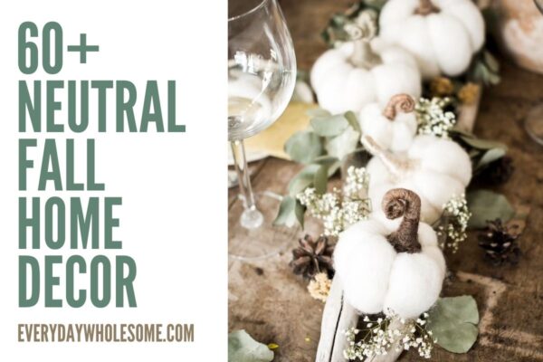 60+ Neutral Fall Home Decor Ideas for your Autumn Home – Everyday Wholesome