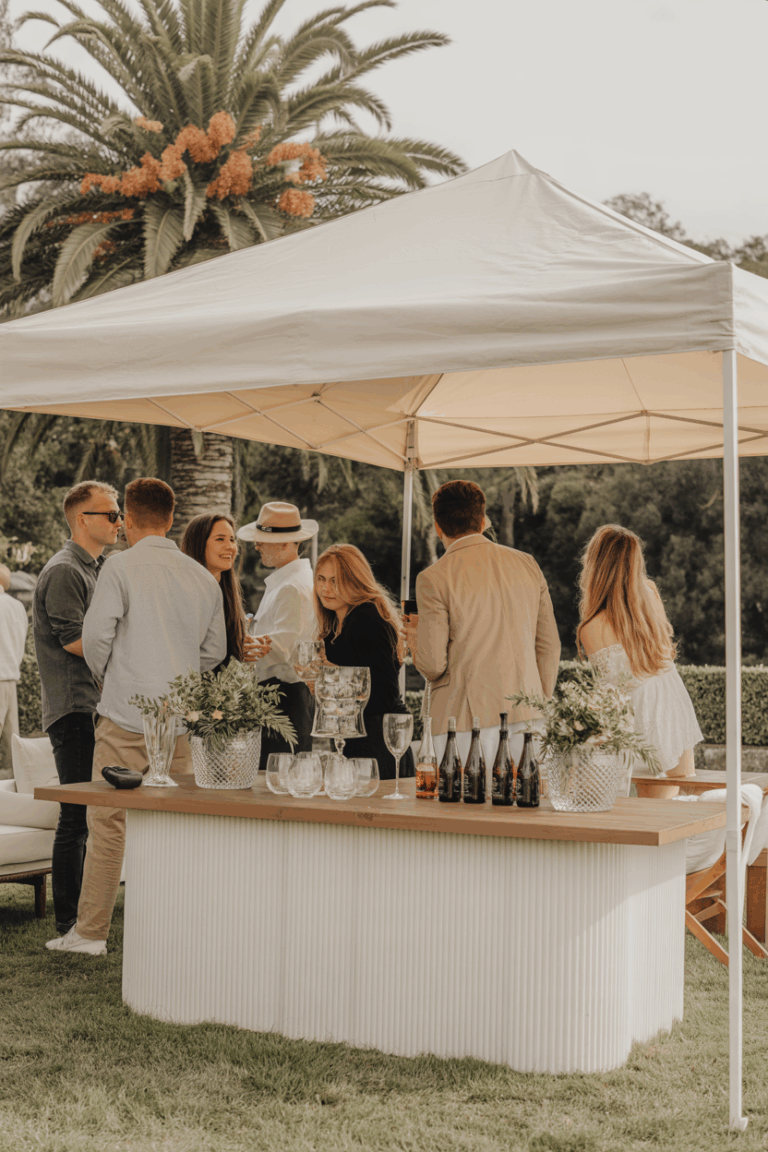 Outdoor Party Essentials: 100 Must-Haves for Backyard & Patio ...