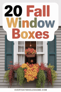 20 Fall Window Boxes Ideas to Elevate Your Seasonal Decor – Everyday ...